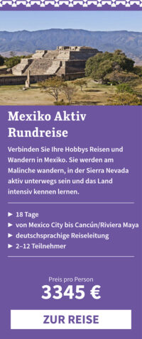 Zu den Monarchfaltern nach Mexiko reisen - Mexico Mio